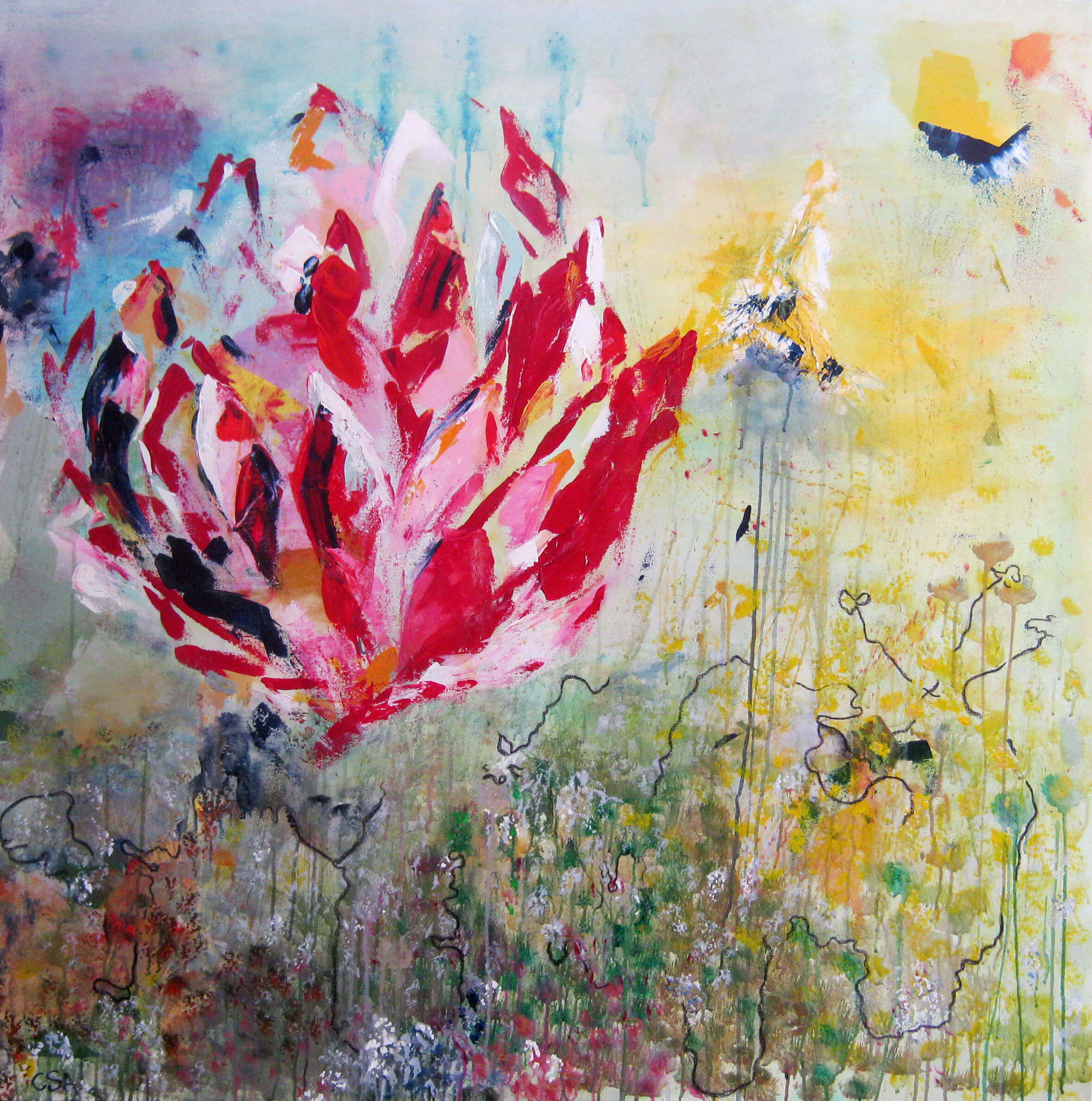 Protea Collection by Claire A Art